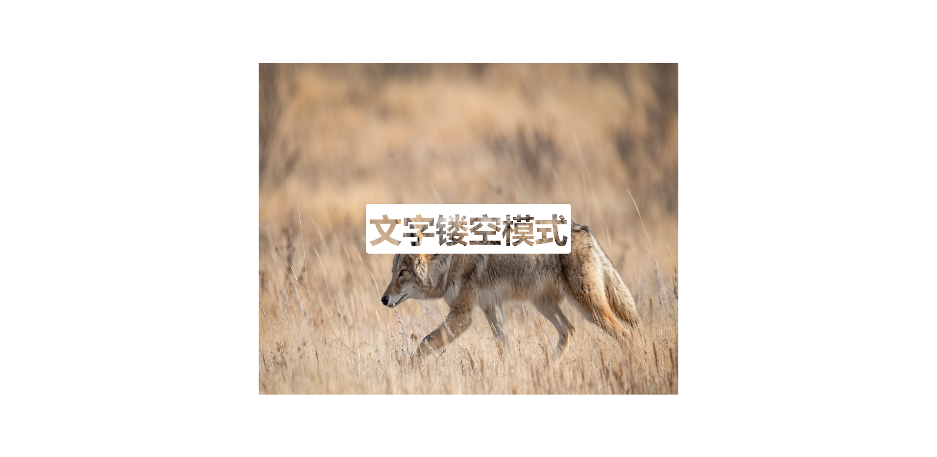 Web前端之Css的混合模式、文字智能适配背景图、文字智能适配背景、文字镂空效果、差值模式、滤色模式、色差、difference、overlay、screen、blend、mode、mix ...