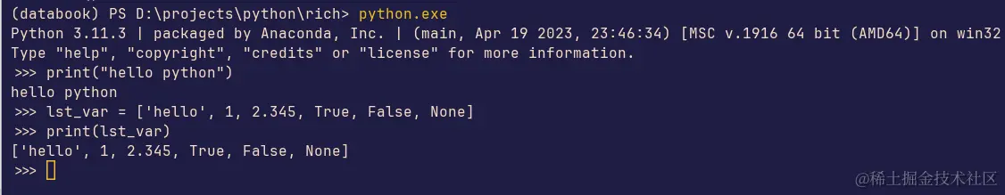 Python Rich：美化终端显示效果-CSDN博客