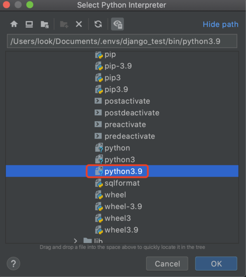python项目开发案例集锦,python基于django的项目-CSDN博客