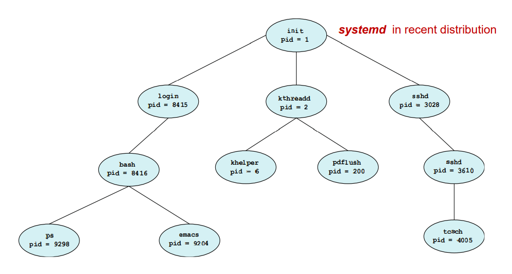 【OSTEP】进程API | 系统调用 fork wait exec | 僵尸进程 | 孤儿进程 | IO重定向 | 文件描述符 fd | 匿名管道 | 命名管道 | 非阻塞 | IPC 进程 ...
