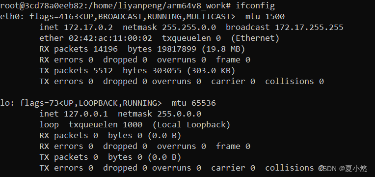 在x86的Docker中构建TVM的ARM环境_模拟器x86改arm-CSDN博客