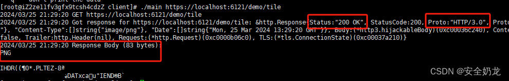 个人服务器部署支持HTTP/3的web服务--使用quic-go（看这篇就对啦）-CSDN博客