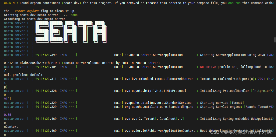 Seata集成Nacos和MySQL的环境配置与微服务应用部署指南-CSDN博客