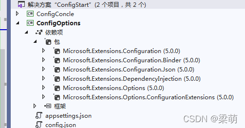 .Net 配置系统-选项方式读取配置_private readonly ioptionssnapshot -CSDN博客