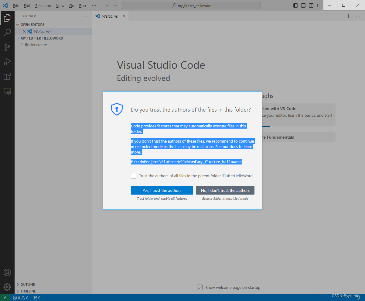 Flutter在Visual Studio Code上首次创建运行应用_flutter visual studio-CSDN博客