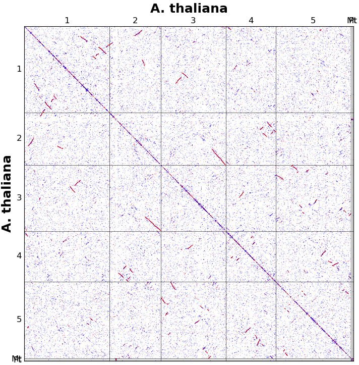 如何用WGDI进行共线性分析(一)-CSDN博客
