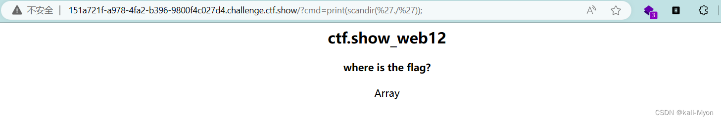 ctfshow-web12（glob绕过）_ctfshow web12-CSDN博客