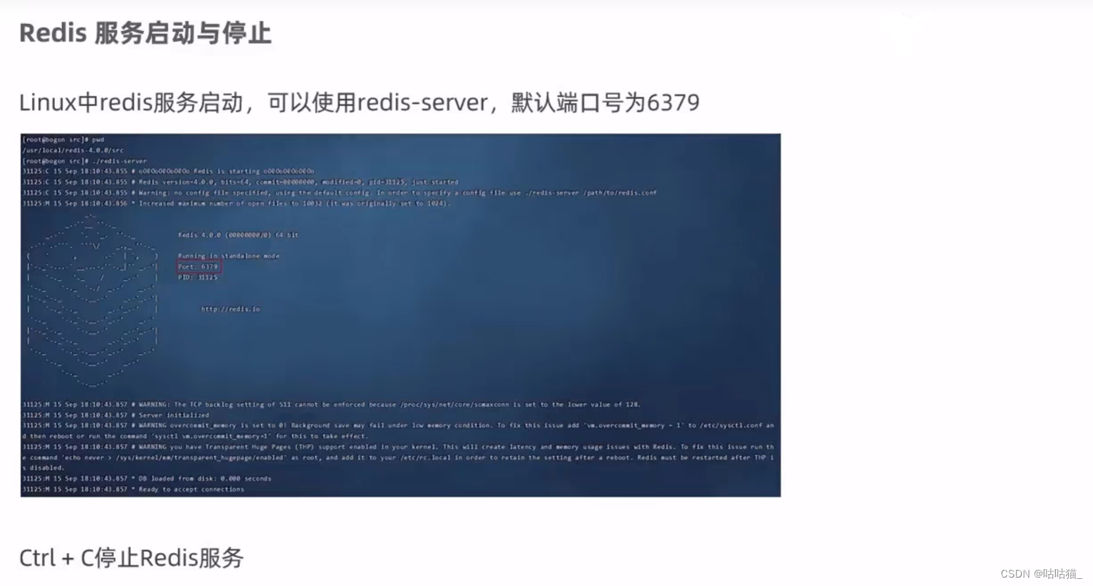 Redis—入门简介、常用命令以及在Java中操作Redis_java 常用的redis 操作类-CSDN博客