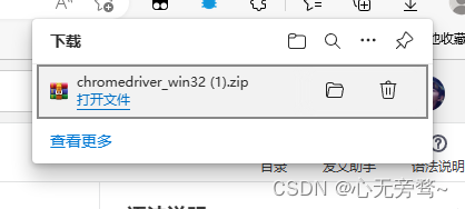 Chromedriver安装教程【无需翻墙】-CSDN博客