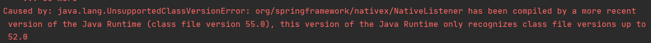 Springboot启动时报错java.lang.UnsupportedClassVersionError_由最新版本的java ...