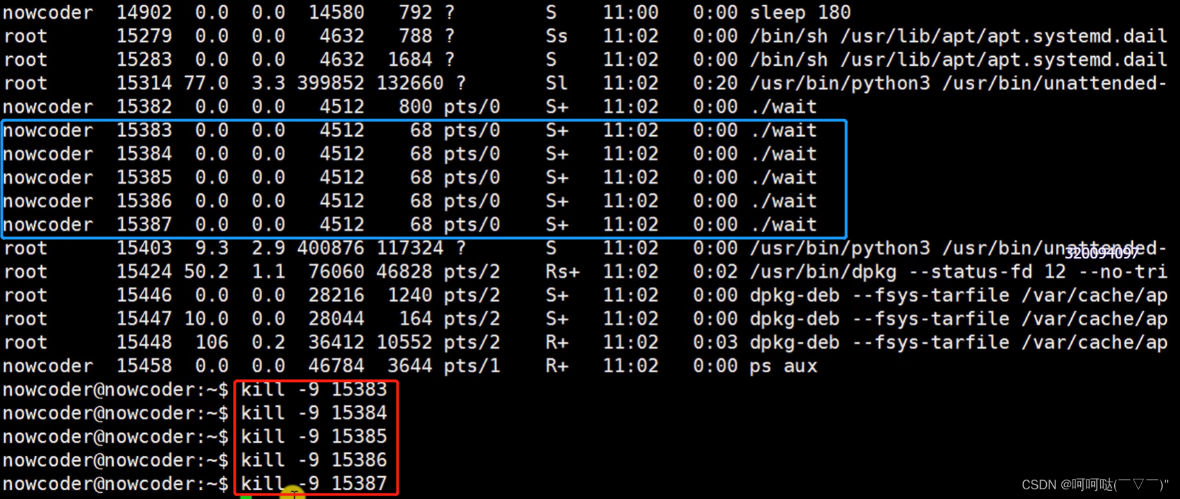 基于linux下的高并发服务器开发（第二章）- 2.8 wait函数-CSDN博客