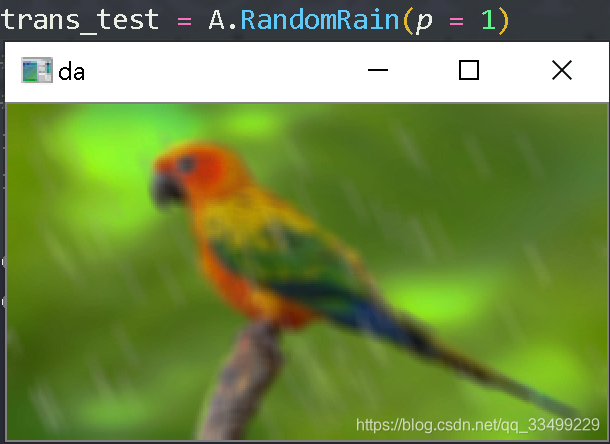 Albumentation使用指南-CSDN博客