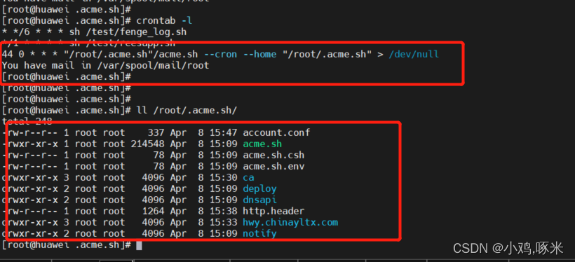 生成免费的证书.acme 基于nginx_acme.sh nginx-CSDN博客