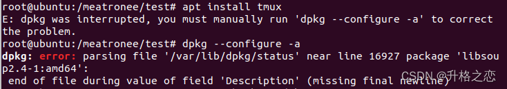 Linux错误记录：dpkg: error:_sudo dpkg -i时报dpkg-deb: 错误:-CSDN博客
