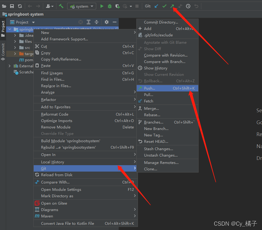 （小记）IDEA+Gitee管理项目（本地项目上传码云）_master → empty repository-CSDN博客