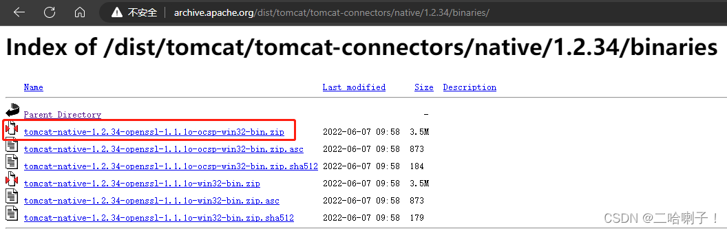 An incompatible version [1.2.23] of the Apache Tomcat Native library is installed-CSDN博客