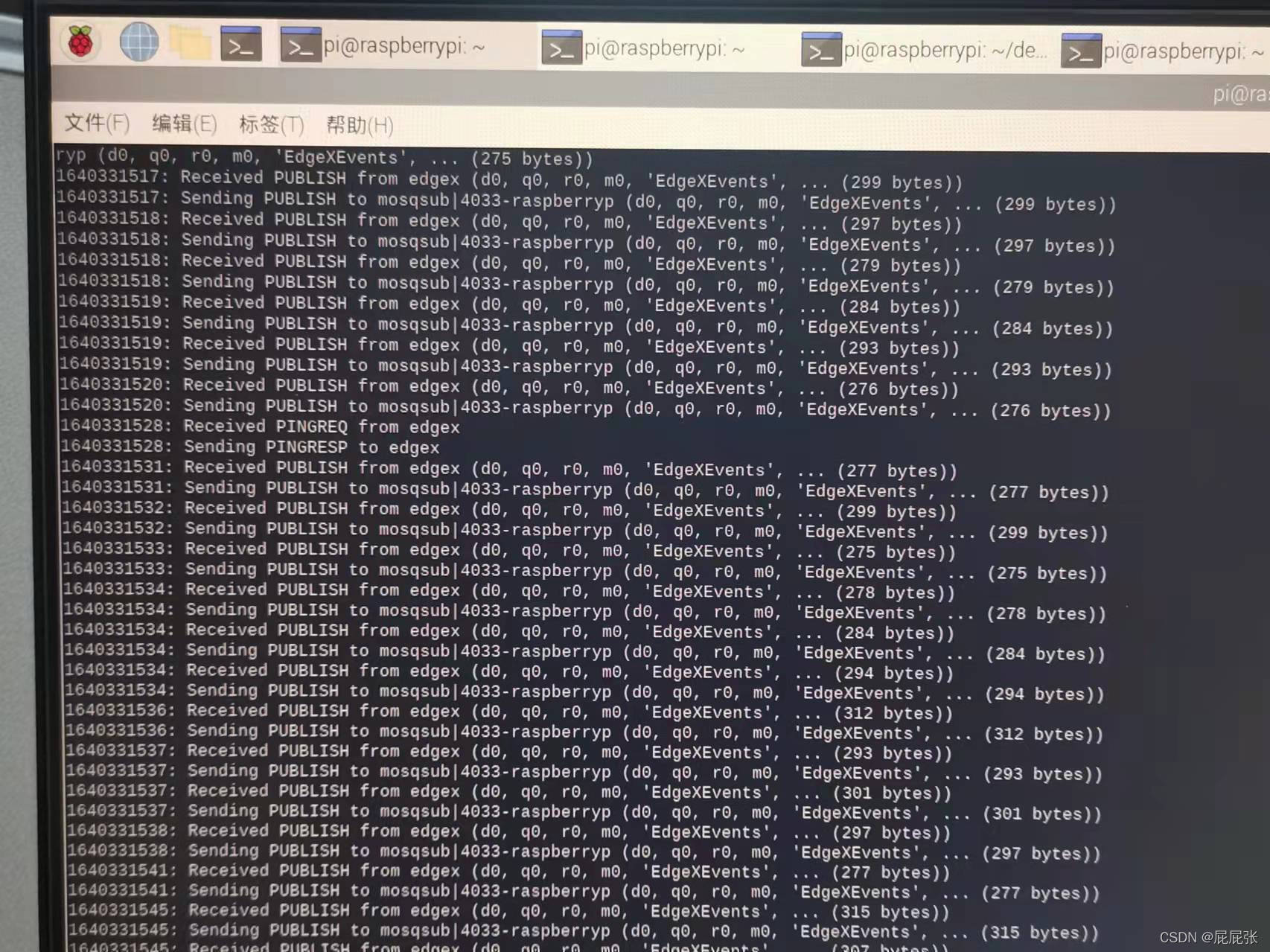 树莓派4B+EdgeX+MQTT的填坑之旅_edgex南北打通-CSDN博客