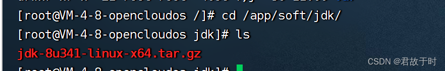 在腾讯云服务器OpenCLoudOS系统中安装jdk（有图详解）_opencloudos 安装jdk-CSDN博客