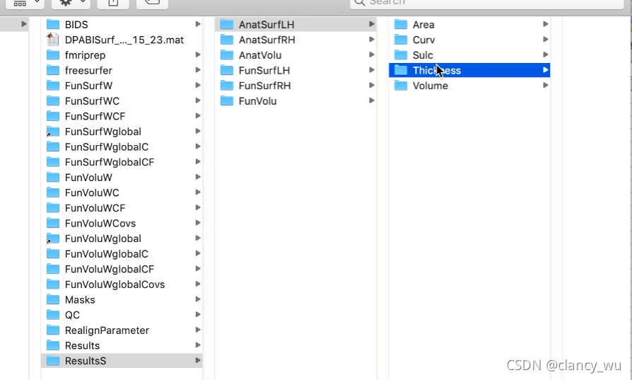 神经影像学研究：DPABISurf后的统计分析与应用-CSDN博客