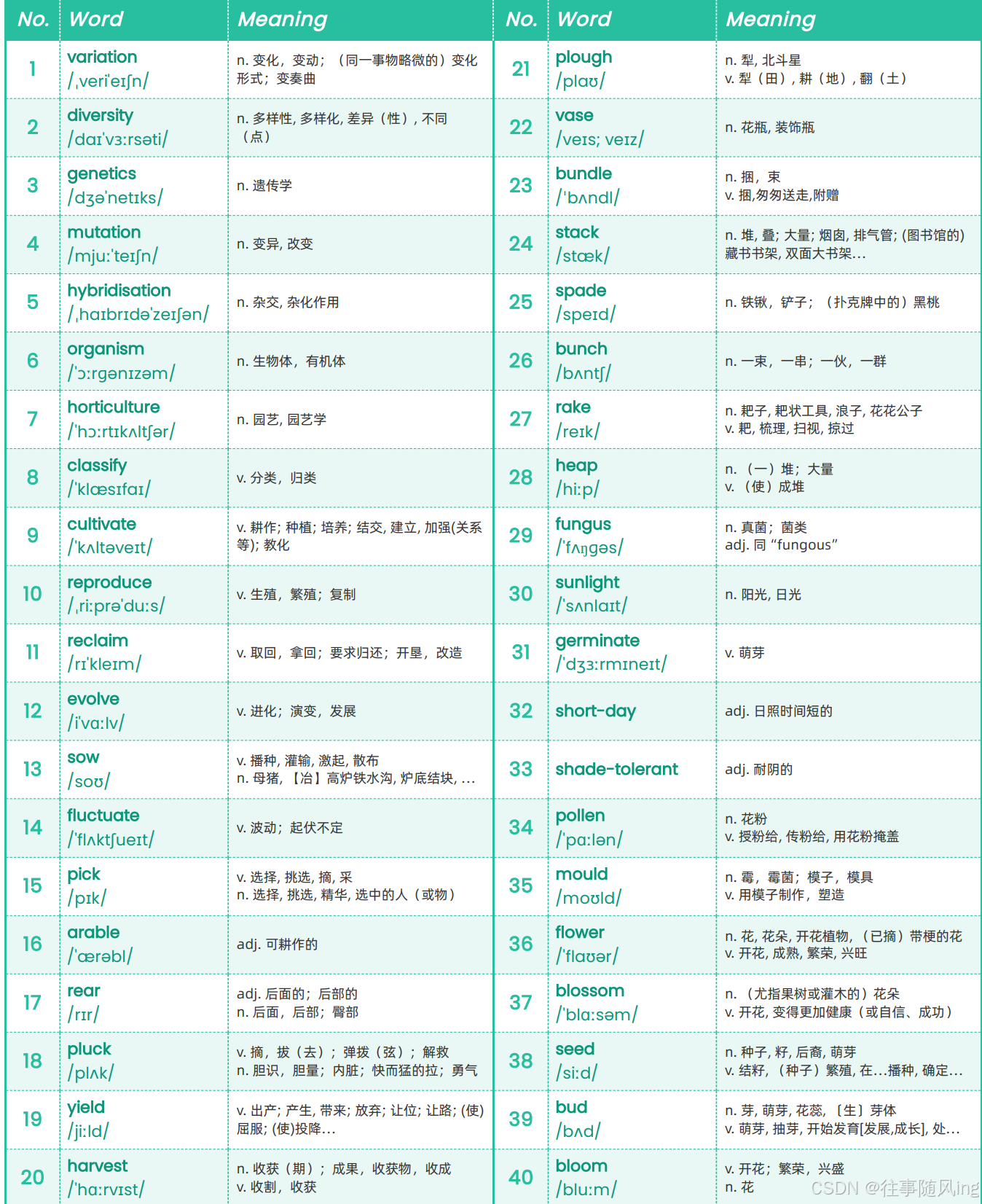 【IELTS】-- Day11 - 单词-CSDN博客