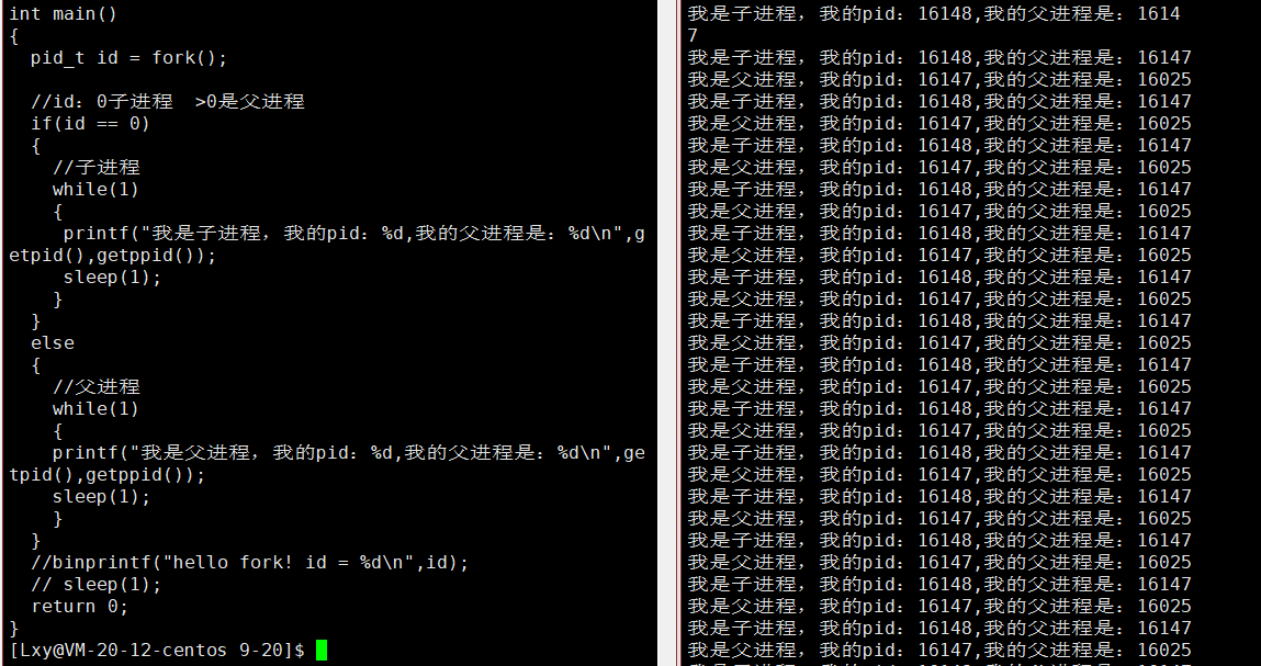 [ Linux ] 进程概念，pcb，查看进程，pid，ppid，fork_打印各自进程pid和ppid-CSDN博客