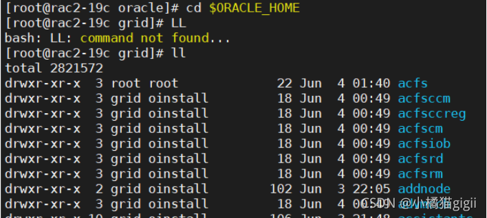 oracle集群rac管理命令（三）_crsctl stat res -t-CSDN博客