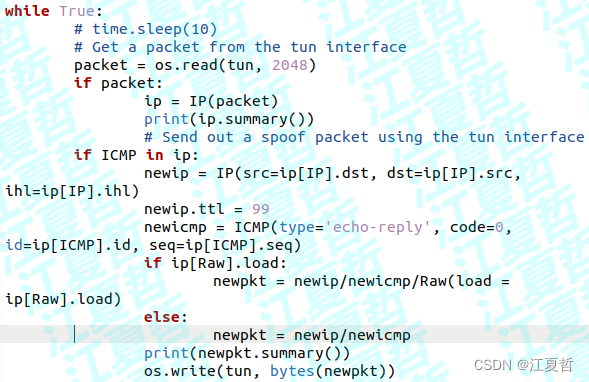V*N Lab: The Container Version_v*n lab: the container version(seed labs)-CSDN博客