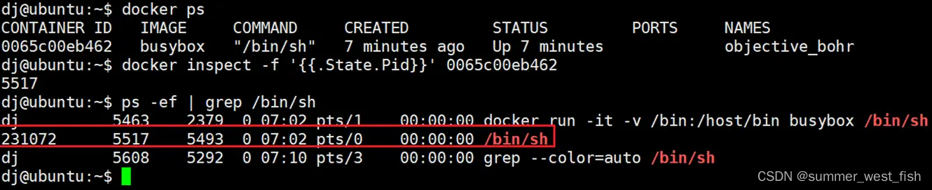 Linux - Namespace_linux namespace-CSDN博客