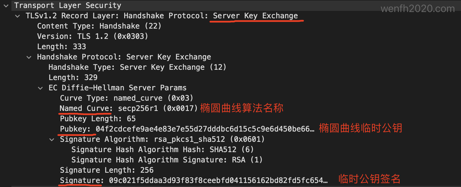 浅析 TLS（ECDHE）协议的握手流程（图解）_tls ech-CSDN博客