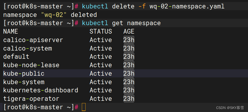 k8s-pod基本管理(namespace,pod增删查)_查看pod命令-CSDN博客