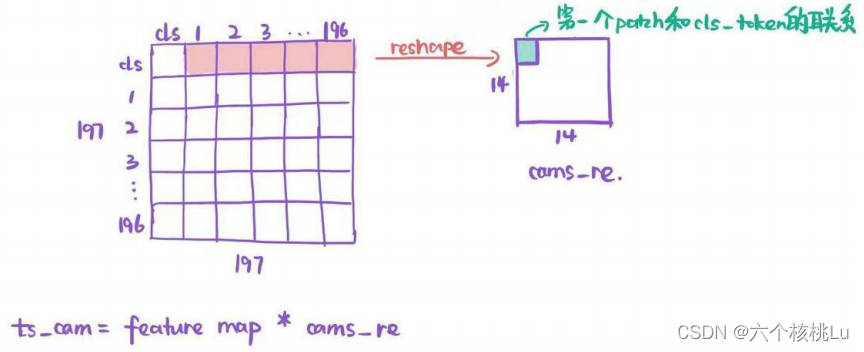 弱监督目标定位 | TS-CAM:用于弱监督目标定位的token语义耦合注意力图_spatial-aware token for weakly supervised object l-CSDN博客