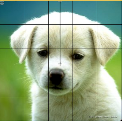Python将图像分割成小块然后将所有的块重新拼接在一起_patchify-CSDN博客