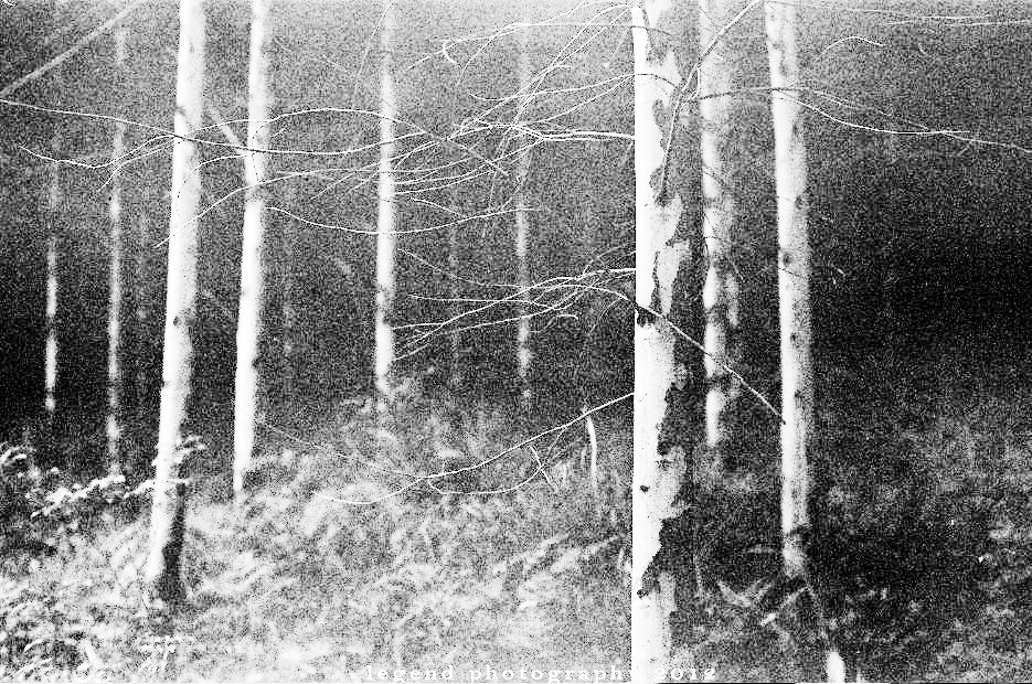 【代码阅读】PL-VIO-CSDN博客