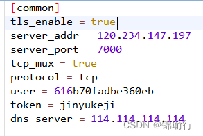 sakura frp 校园网 login server failed eof（附带完整使用办法）_锦瑜frp-CSDN博客