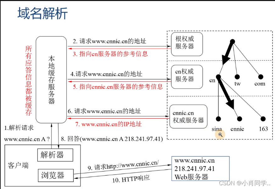 [linux系列|DNS]DNS详解①_dns opt-CSDN博客