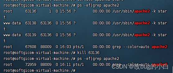 Linux系统命令详解_ls -la-CSDN博客