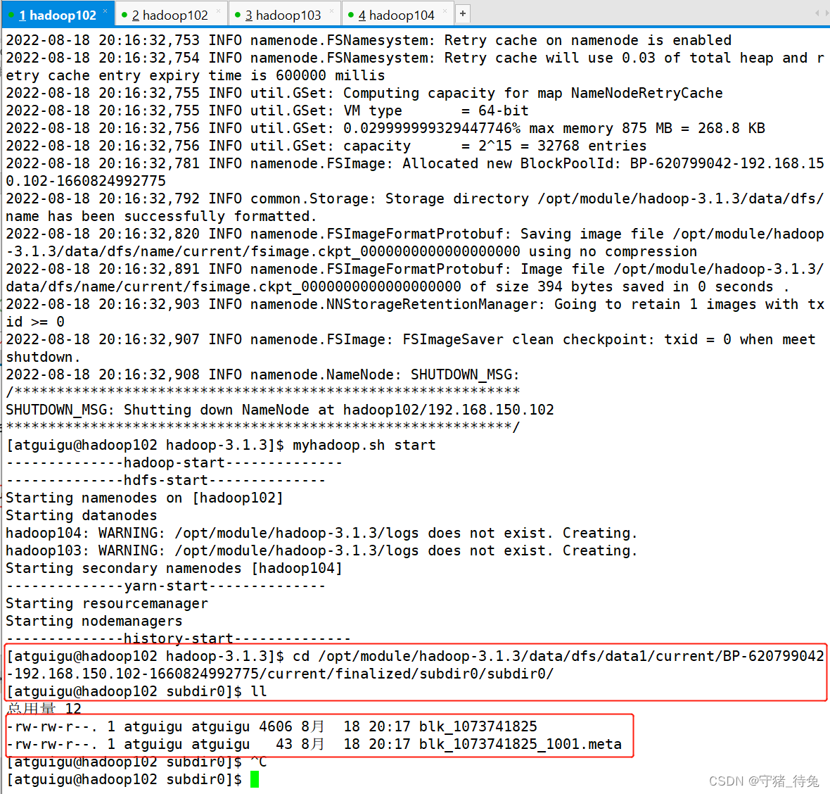 DateNode多目录配置_dfs.datanode.data.dir-CSDN博客