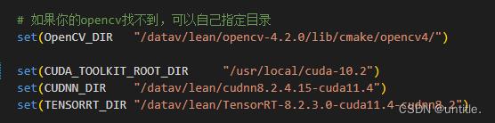 Jetson Nano 配置tensorRT_Pro环境_jetsonnano安装tensorrt-CSDN博客