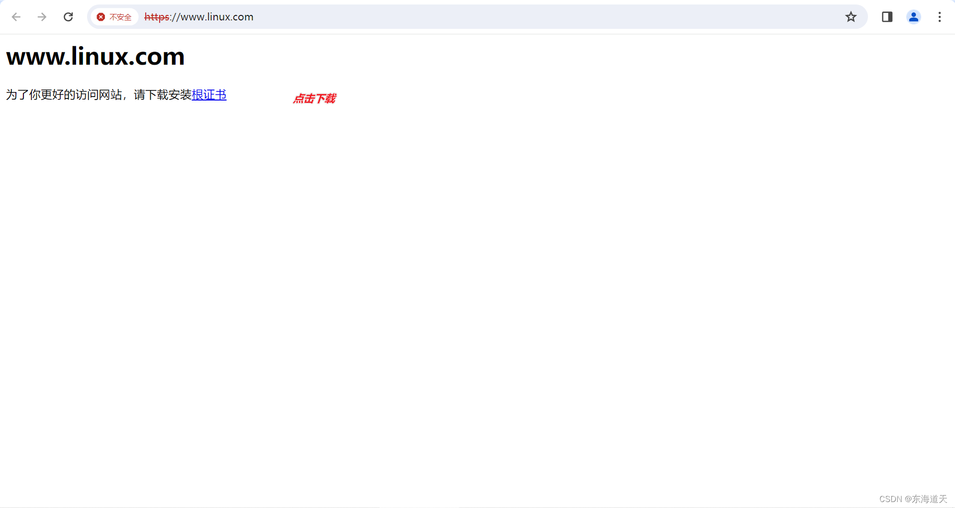 Apachehttpd高级配置：虚拟主机、HTTPS及CA服务器设置详解-CSDN博客