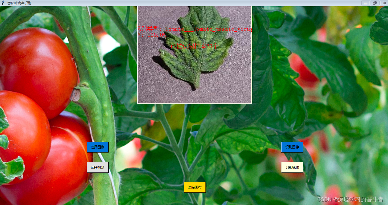 基于改进深度网络的农业病害识别,(以番茄叶为例,python代码,pytorch框架) Csdn博客