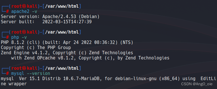 kali Linux环境下部署LAMP环境并安装dvwa_kali搭建lamp-CSDN博客