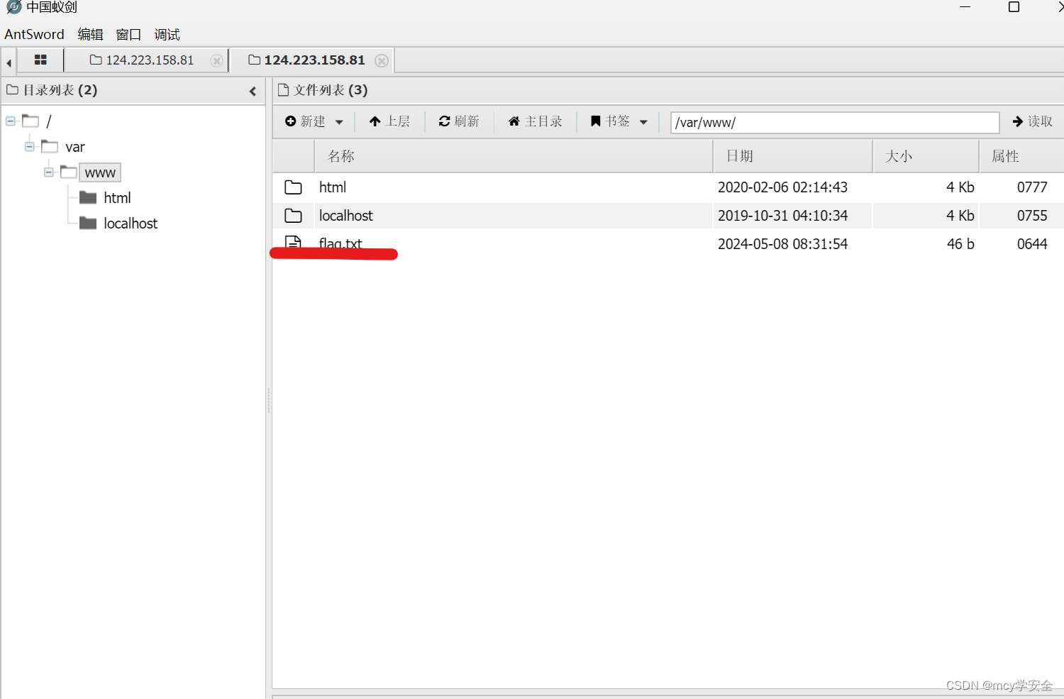 Ctfshow Web4 文件包含nginx日志注入ctf Nginx Csdn博客
