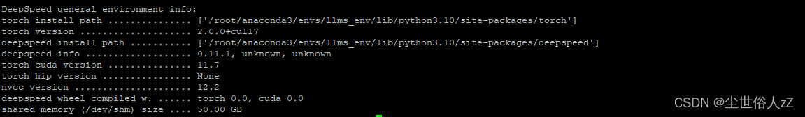 解决容器内deepspeed微调大模型报错_deepspeed 共享内存-CSDN博客