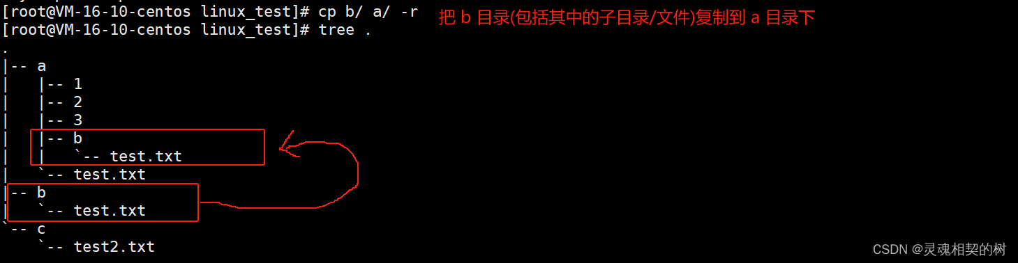 【linux】java 程序员必会的 Linux 最常用的命令java Linux常用命令 Csdn博客