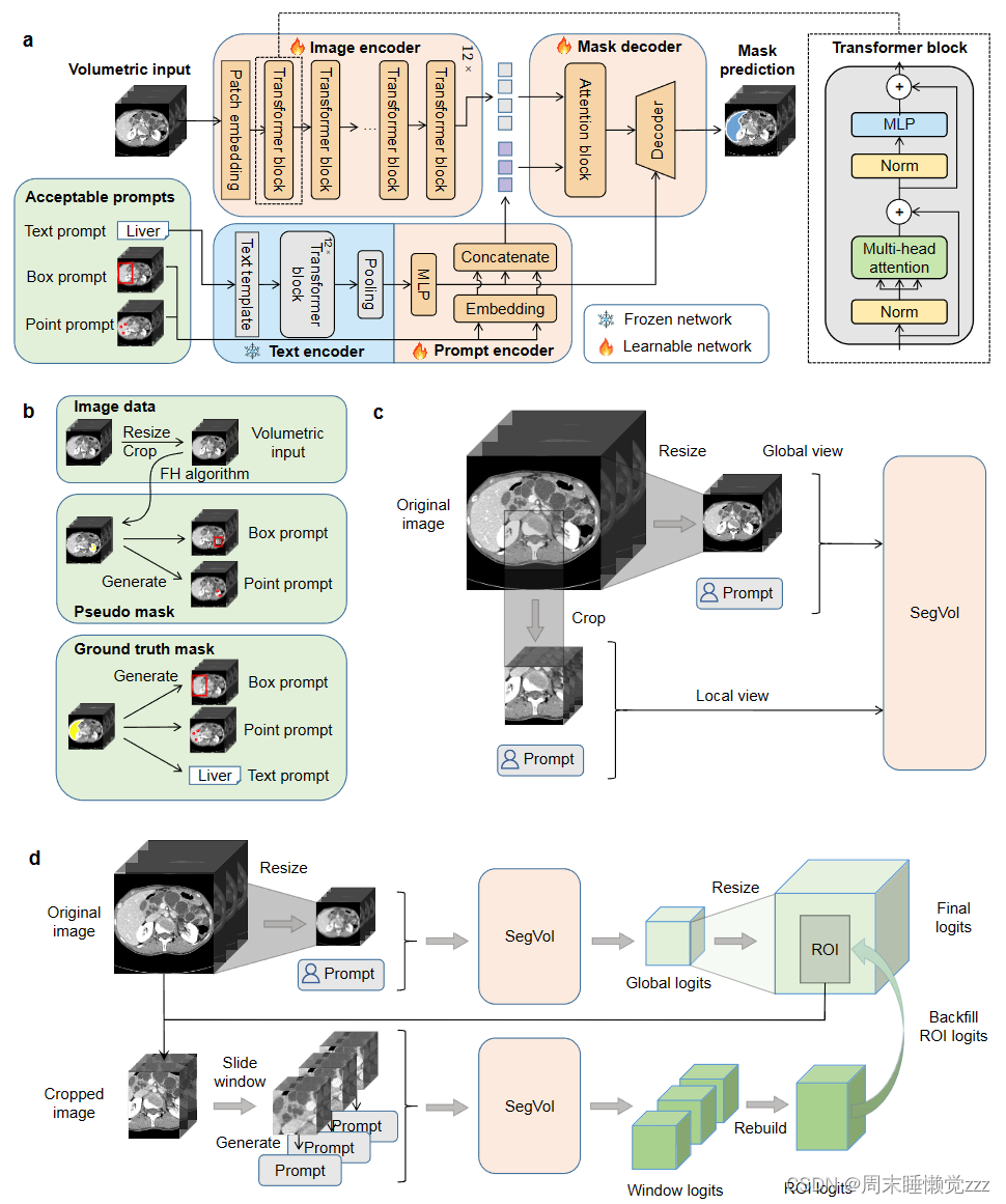 3D医学图像分割大模型 SegVol: Universal and Interactive Volumetric Medical Image Segmentation-CSDN博客