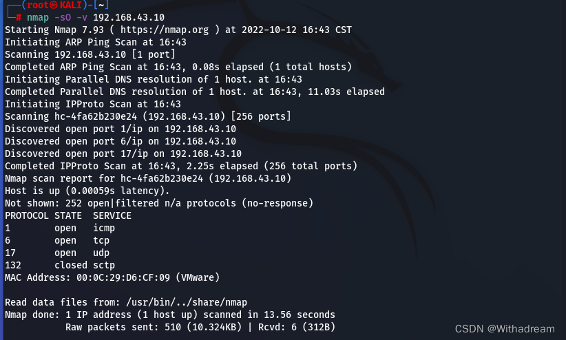 Nmap扫描技巧-CSDN博客