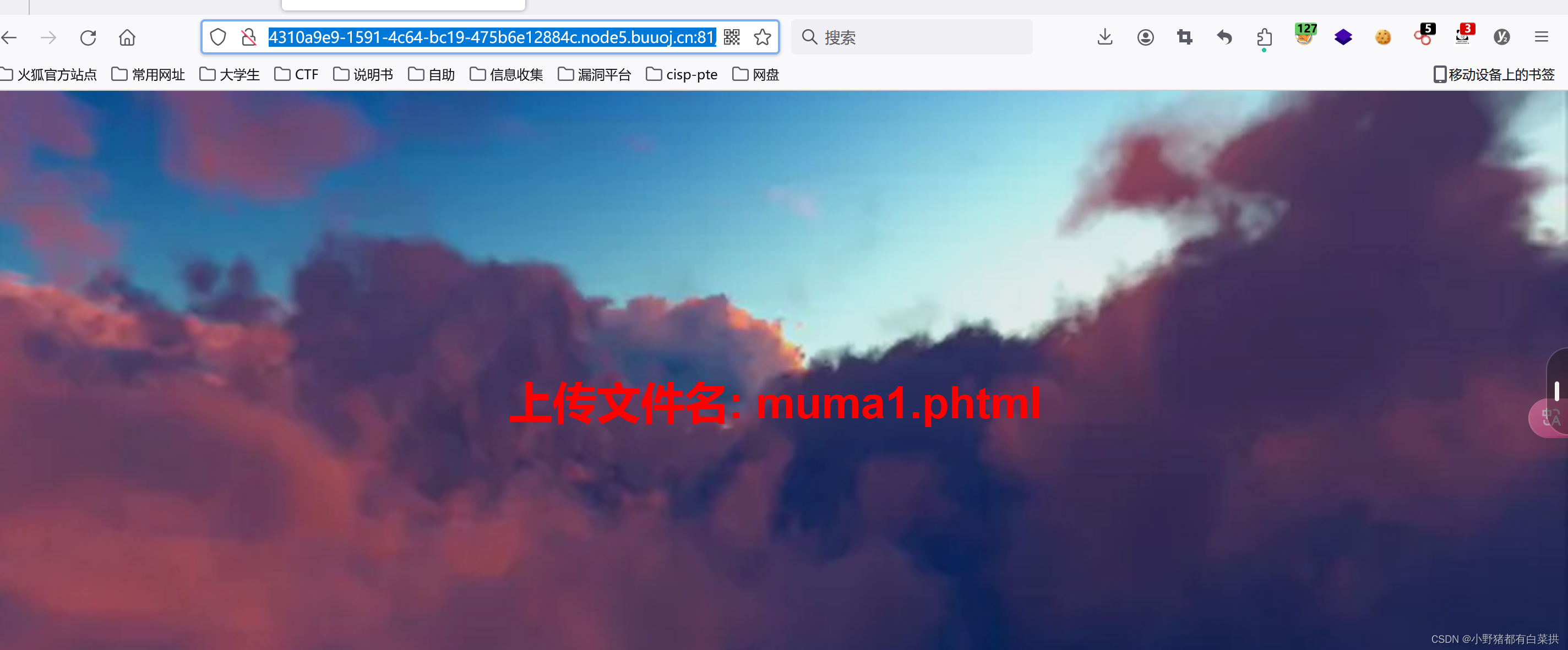 [极客大挑战 2019]Upload--BUUCTF-CSDN博客