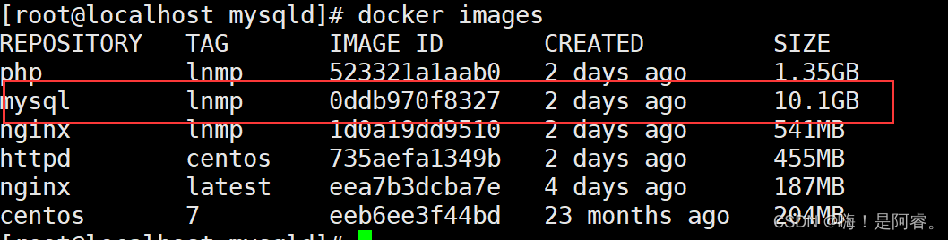 Docker搭建LNMP----（超详细）_docker lnmp-CSDN博客