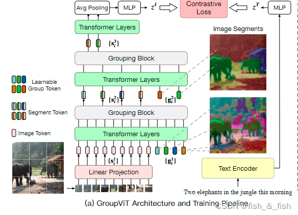 GroupViT论文阅读_groupingvit-CSDN博客